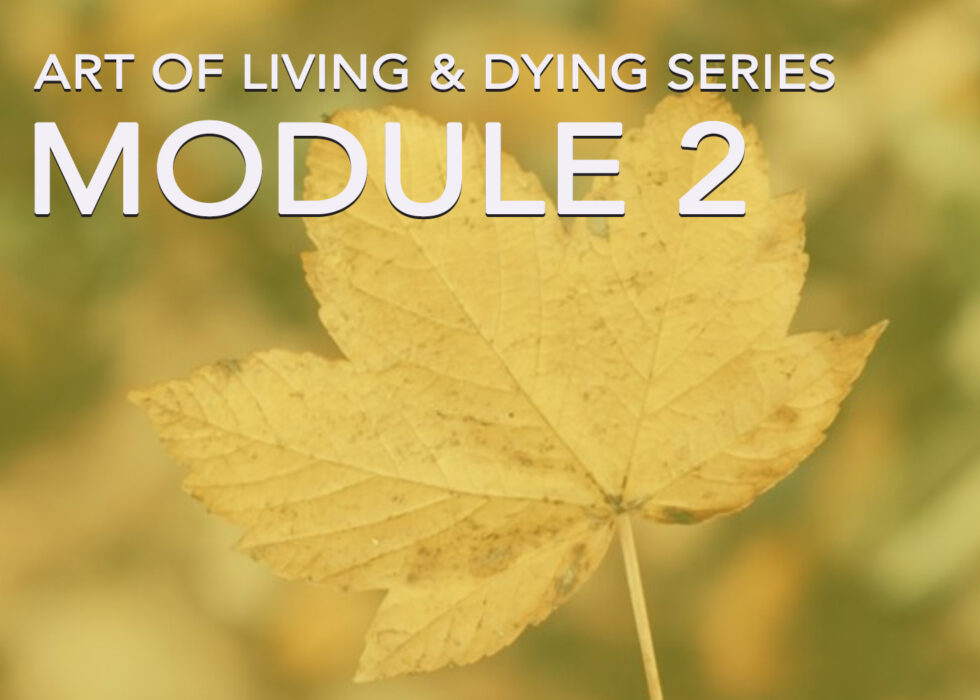 Art of Living and Dying - Module 2: "Diagnosing Spiritual Pain ...